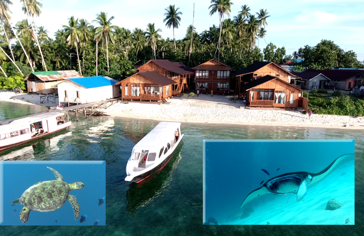 Derawan Dive Lodge – Out of the Blue Productions